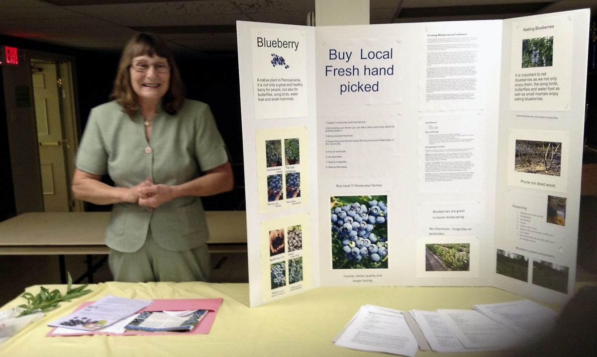 The art of the blueberry - Observer-Reporter